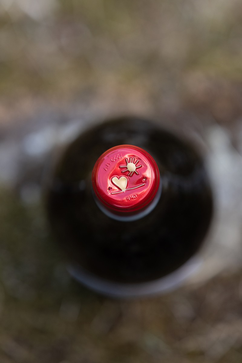 Fabrizio Dionisio, Cortona DOC Winery | Tiphys Srl, Realizzazione siti ...